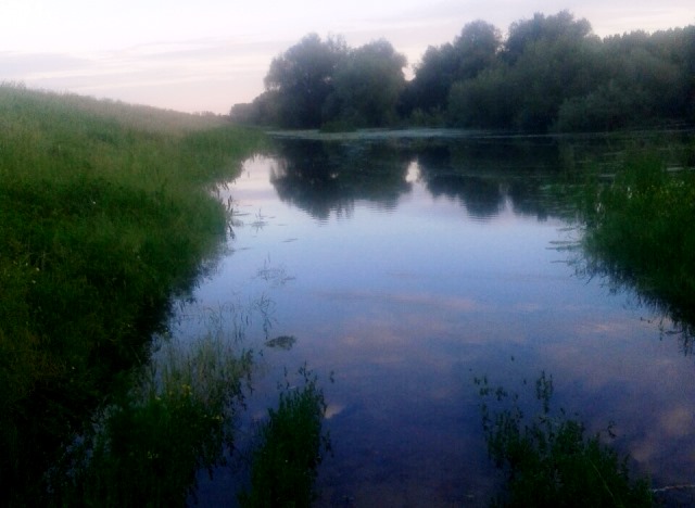 Dunav raste - voda stigla do nasipa (FOTO) - www.lobi-info.rs