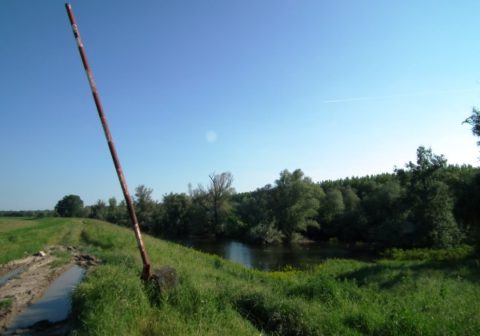 Prolazi opasnost. Od ponedeljka Dunav u opadanju - www.lobi-info.rs