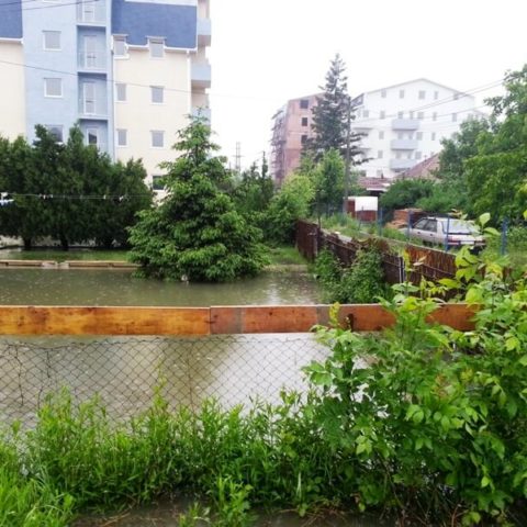 Prošlogodišnja poplava u naseljima na levoj obali Dunava (FOTO) - www ...