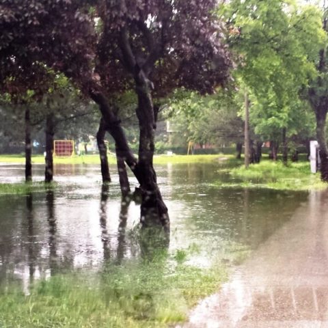Prošlogodišnja poplava u naseljima na levoj obali Dunava (FOTO) - www ...
