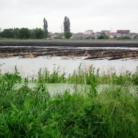 Prošlogodišnja poplava u naseljima na levoj obali Dunava (FOTO) - www ...